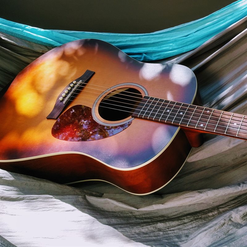 Guitares acoustiques