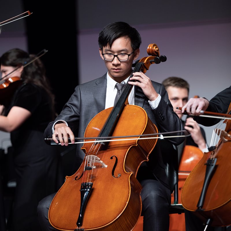 Violons, Violoncelles & Contrebasses